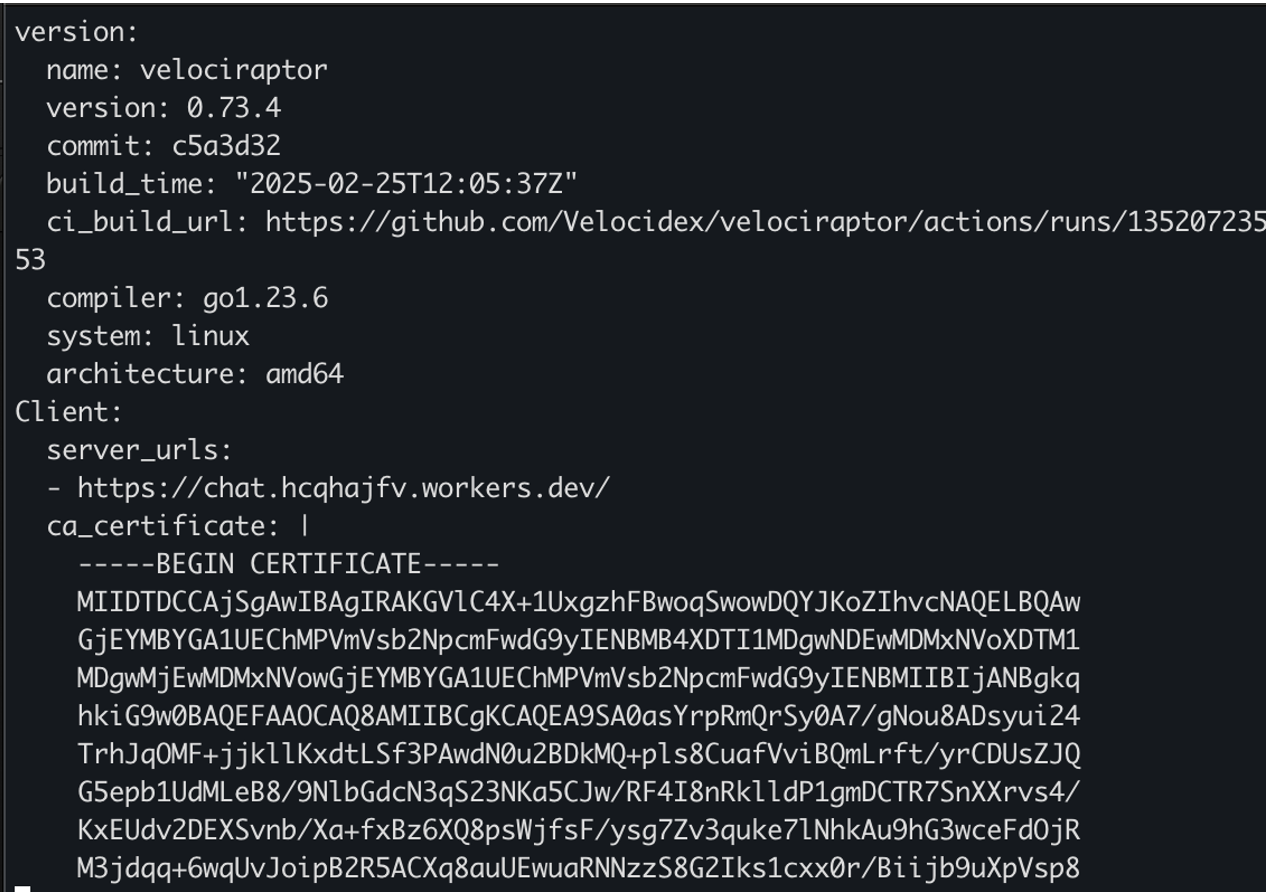 Screenshot of Config file.